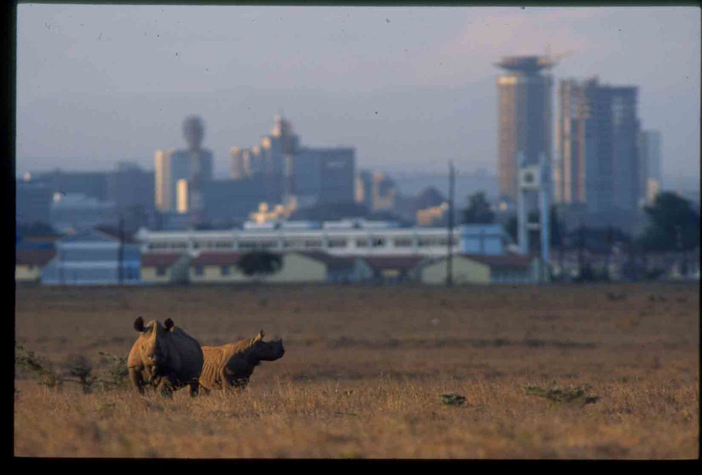 Perfect 3 Days in Nairobi in Nairobi | Things to do in Nairobi - Abana ...